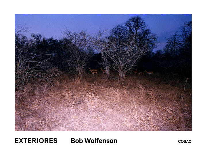 Exteriores – Cosac